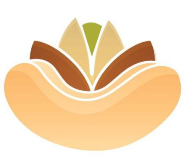 PAYAL DEALERS PVT. LTD.